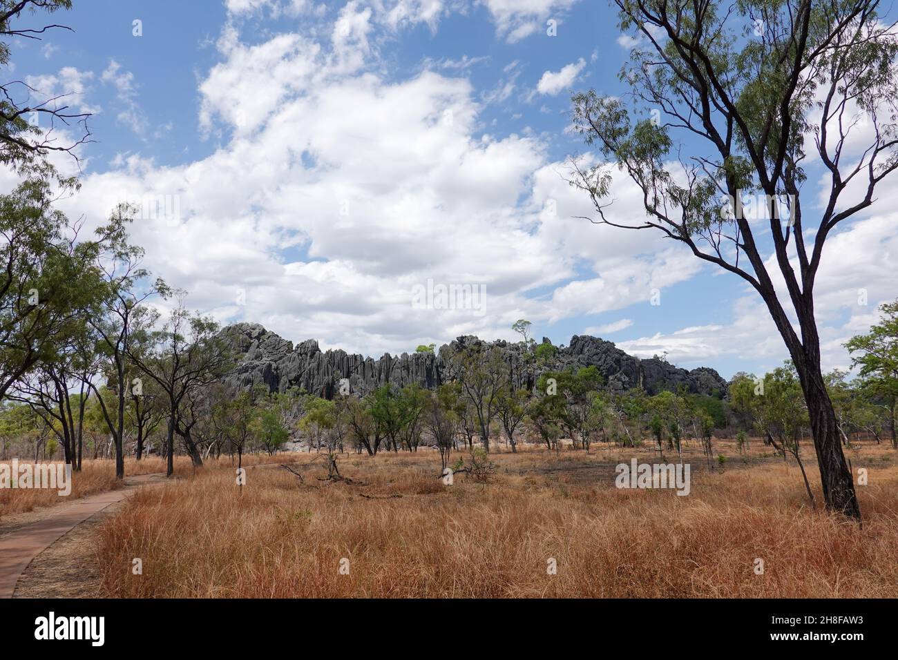 Savana australia immagini e fotografie stock ad alta risoluzione - Alamy