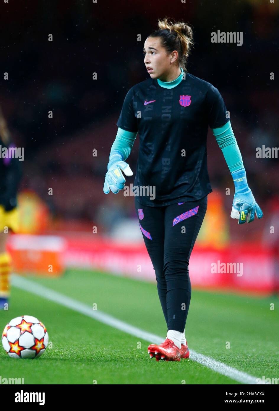 Coll catalina immagini e fotografie stock ad alta risoluzione - Alamy