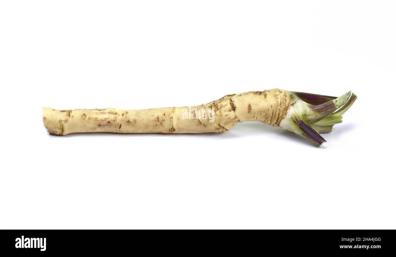 Stimolanti naturali immagini e fotografie stock ad alta risoluzione - Alamy