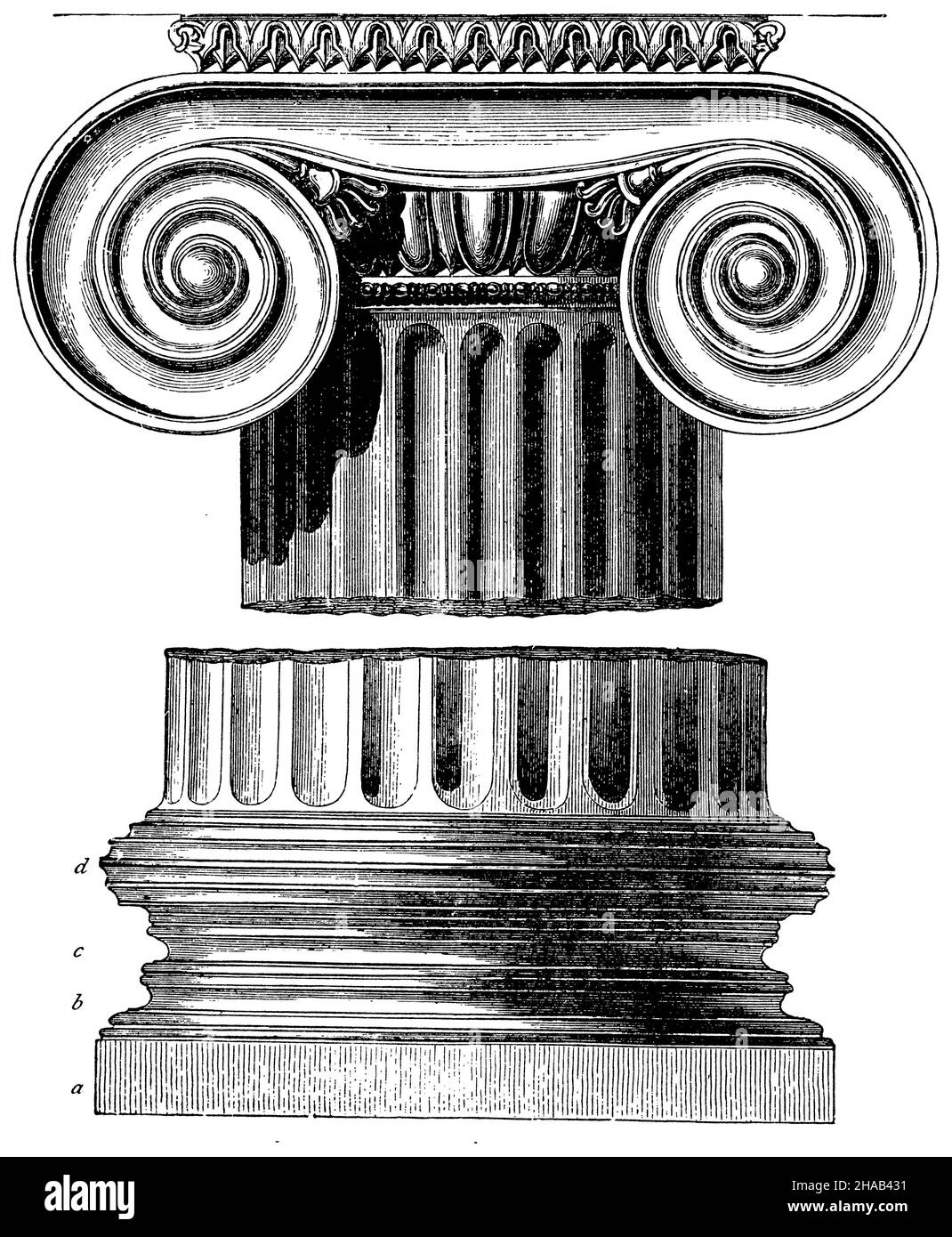 Base e capitale della colonna ionica. Front view, , (libro di storia ...