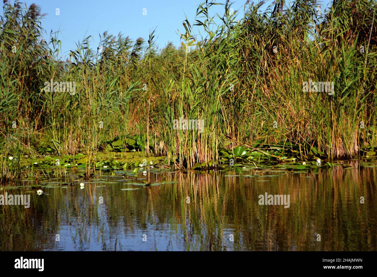 Lago razelm immagini e fotografie stock ad alta risoluzione - Alamy