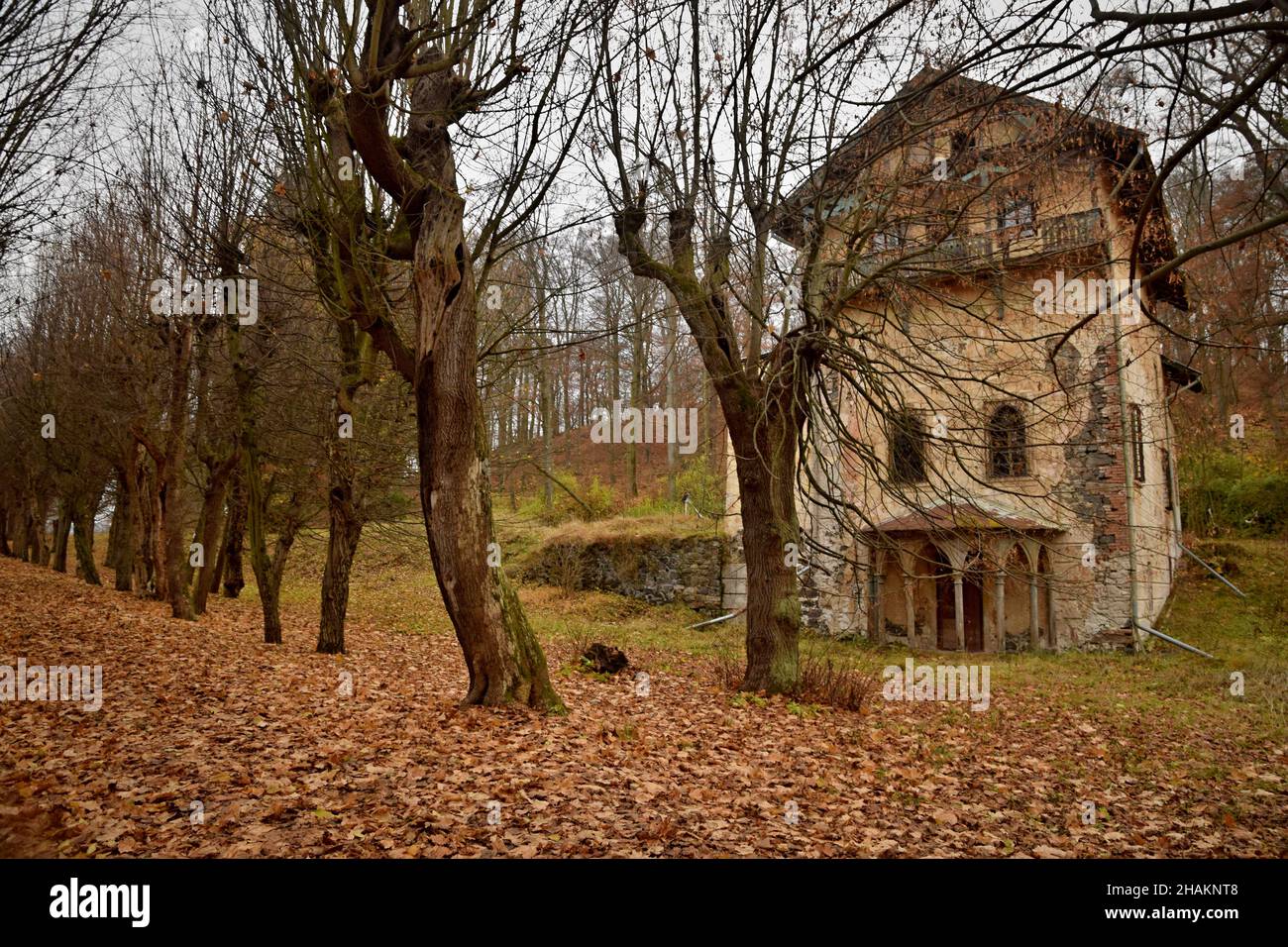 Castello e complesso di Château a Valeč in Czechia, la Chiesa ...