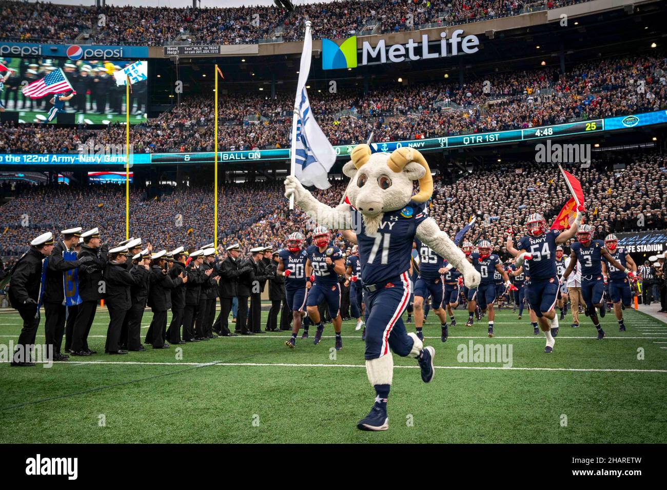 Capra marina immagini e fotografie stock ad alta risoluzione - Alamy