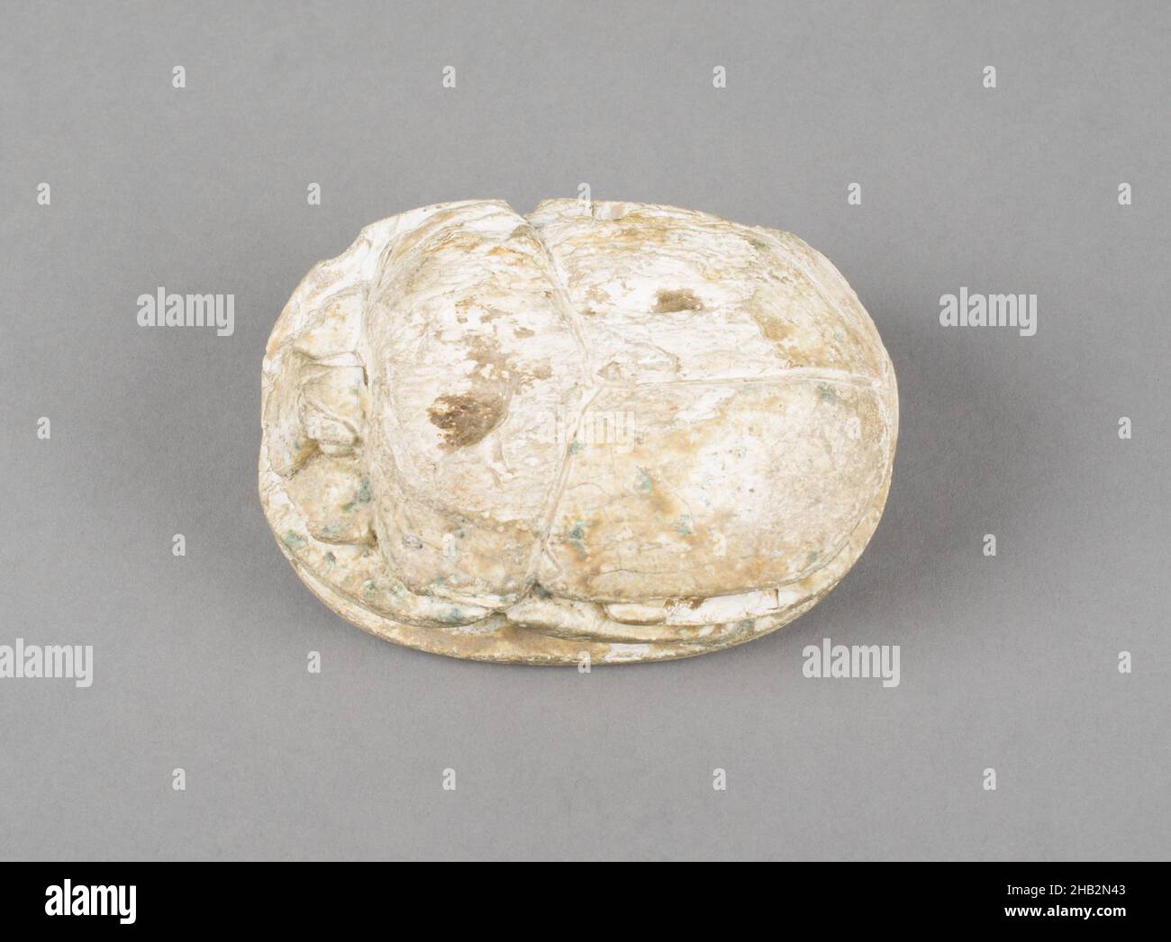 Scarabeo Di Matrimonio Immagini e Fotos Stock - Alamy