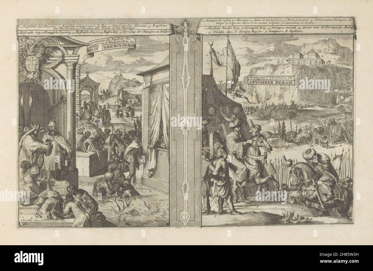 Gli abissini rinnovano immagini e fotografie stock ad alta risoluzione ...