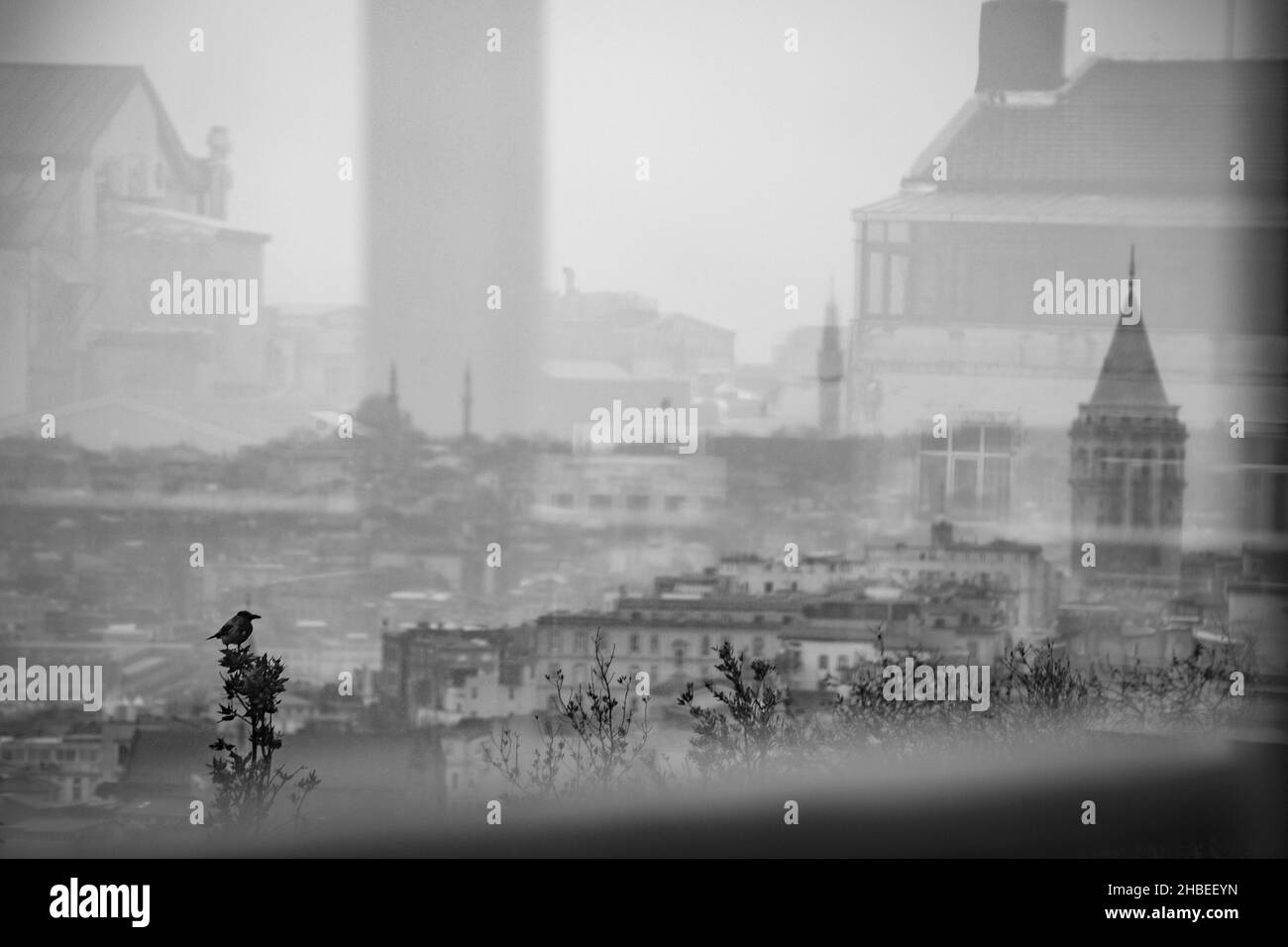 Siyah beyaz immagini e fotografie stock ad alta risoluzione - Alamy