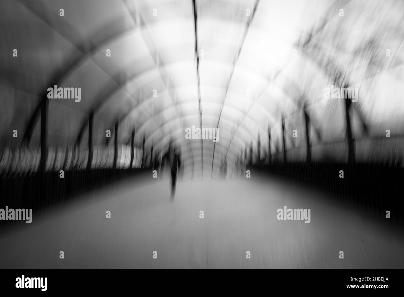 Siyah beyaz immagini e fotografie stock ad alta risoluzione - Alamy