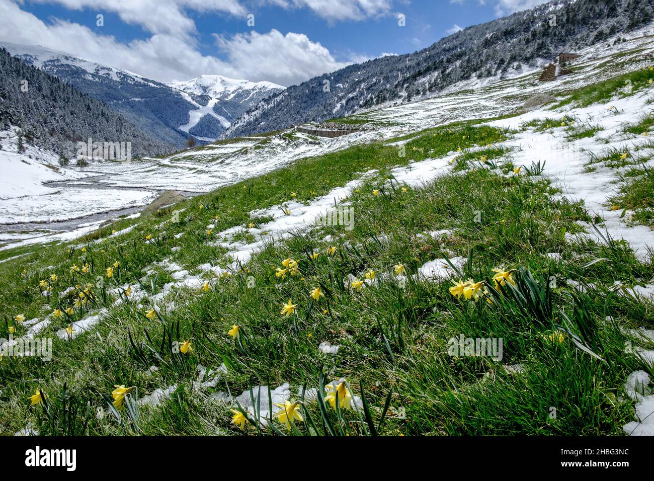 Nevicata di andorra immagini e fotografie stock ad alta risoluzione - Alamy