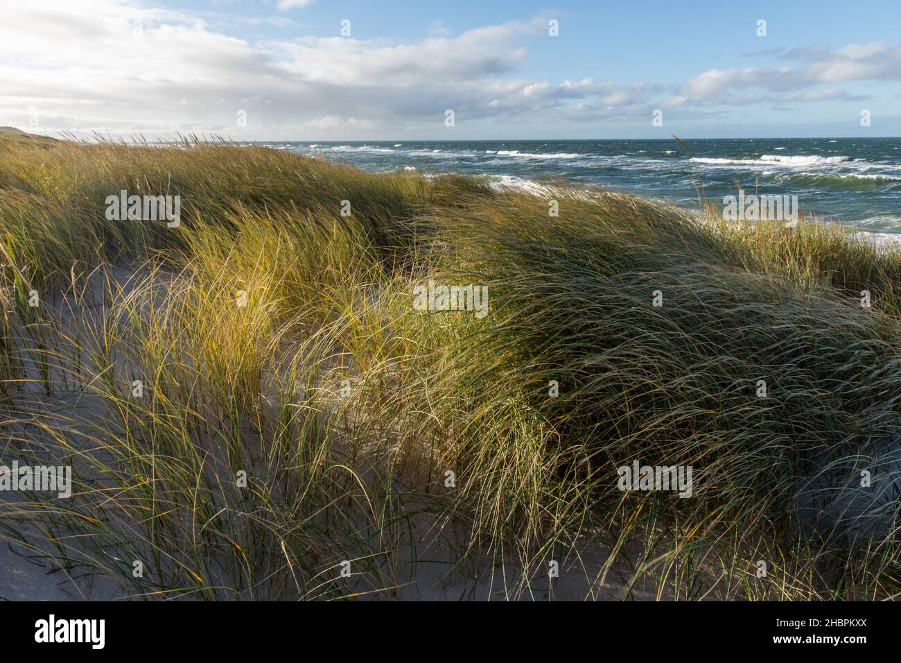 Spaziergang am meer immagini e fotografie stock ad alta risoluzione - Alamy