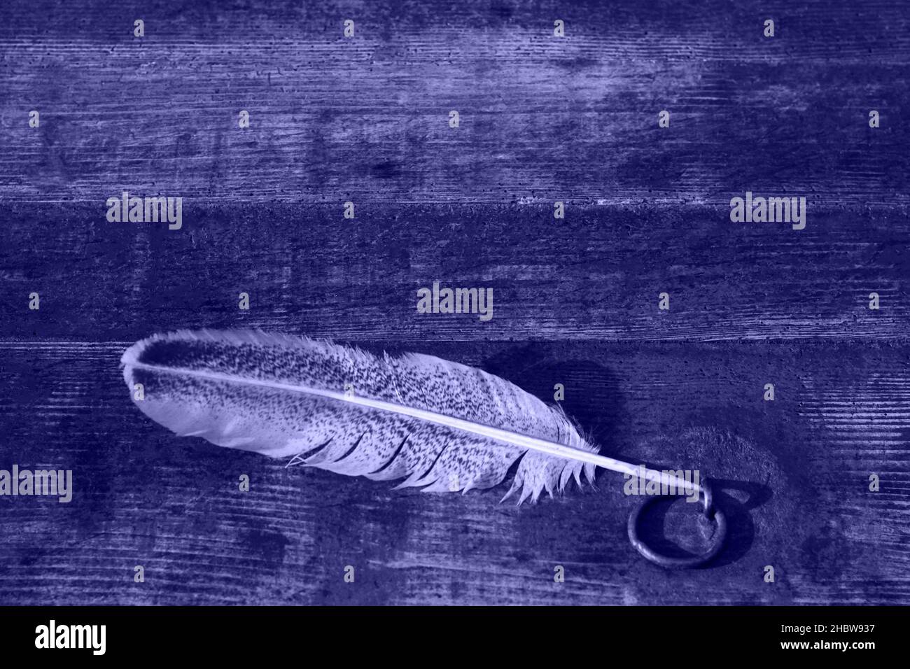 Pantone dell'anno immagini e fotografie stock ad alta risoluzione - Alamy