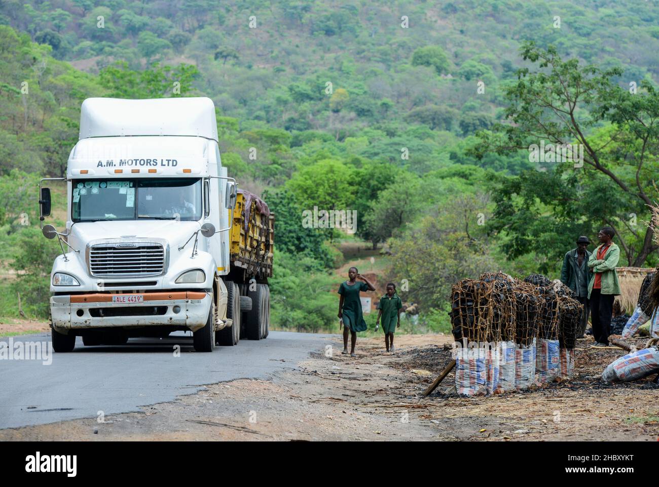 ZAMBIA, distretto di Sinazongwe, carbone di trasporto di camion dalla ...