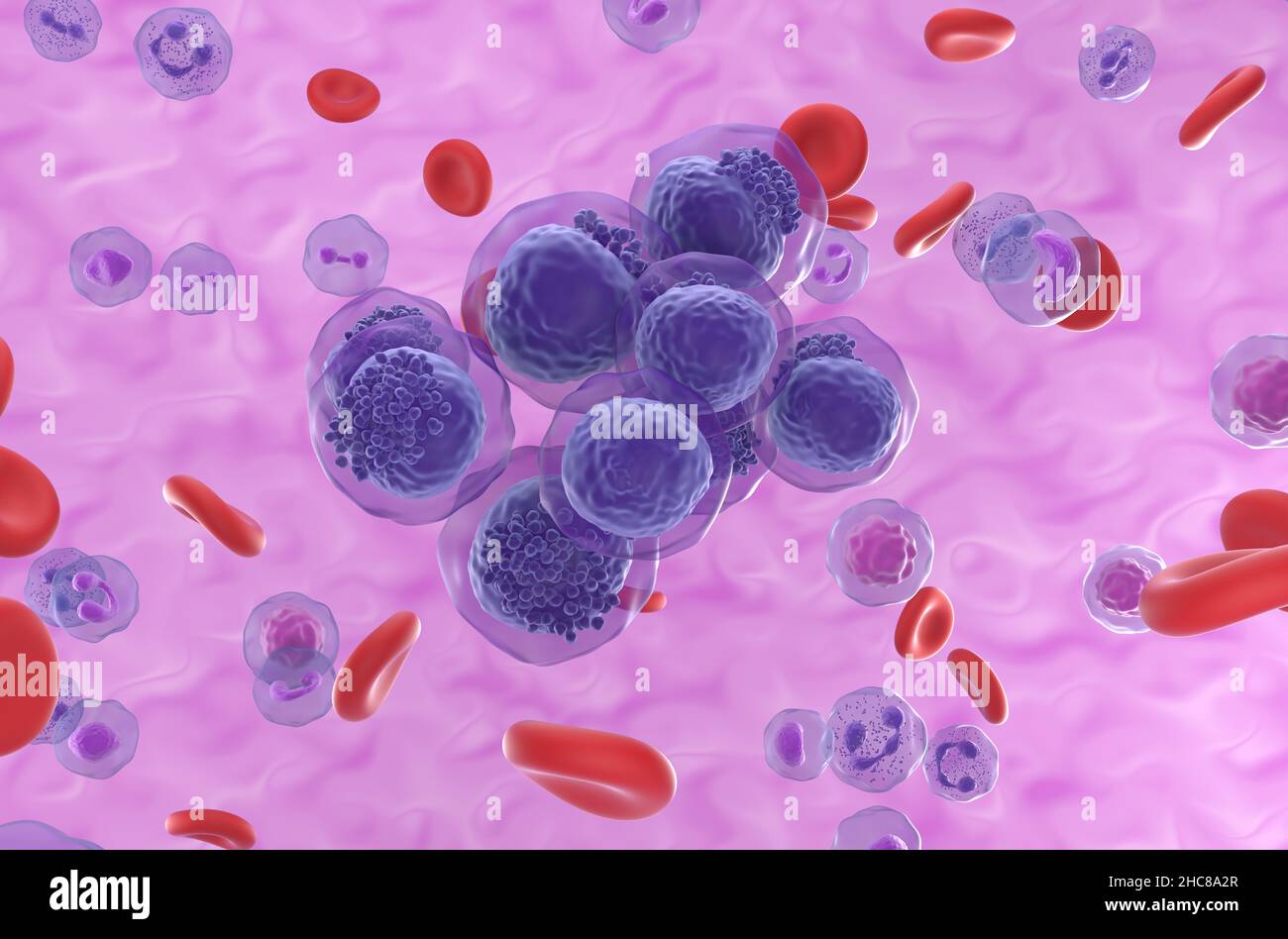 Cellula mieloide immagini e fotografie stock ad alta risoluzione - Alamy