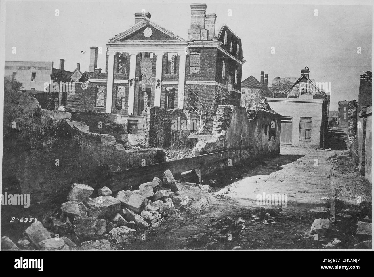 d'epoca, retrò, vecchia, fotografia, secolo, botanica, grafica, antico ...