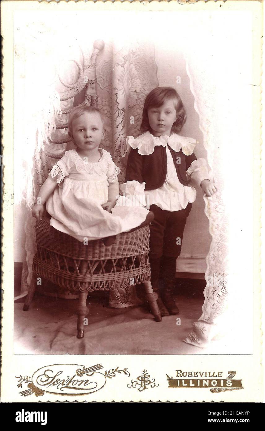 d'epoca, retrò, vecchia, fotografia, secolo, botanica, grafica, antico ...