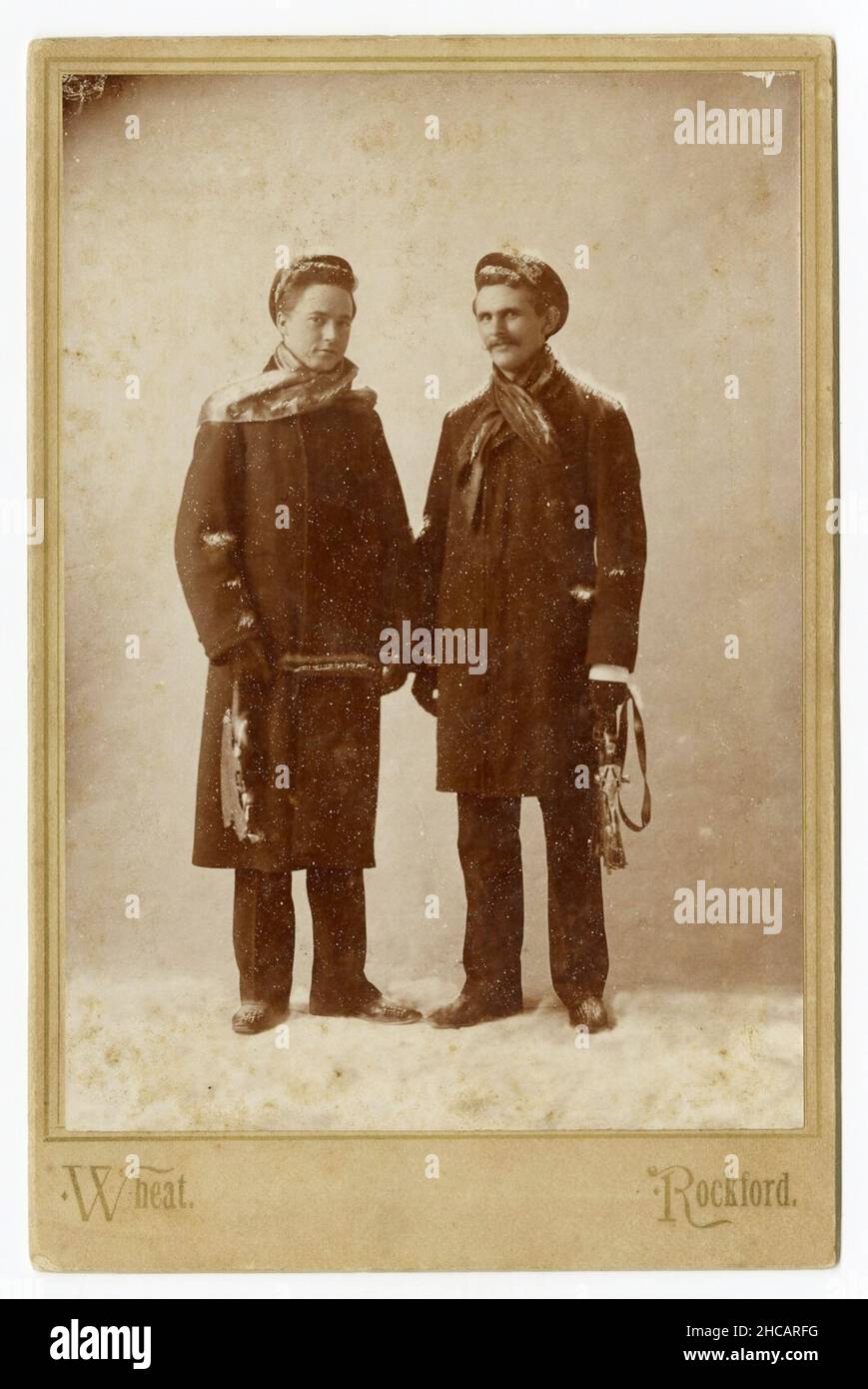 d'epoca, retrò, vecchia, fotografia, secolo, botanica, grafica, antico ...