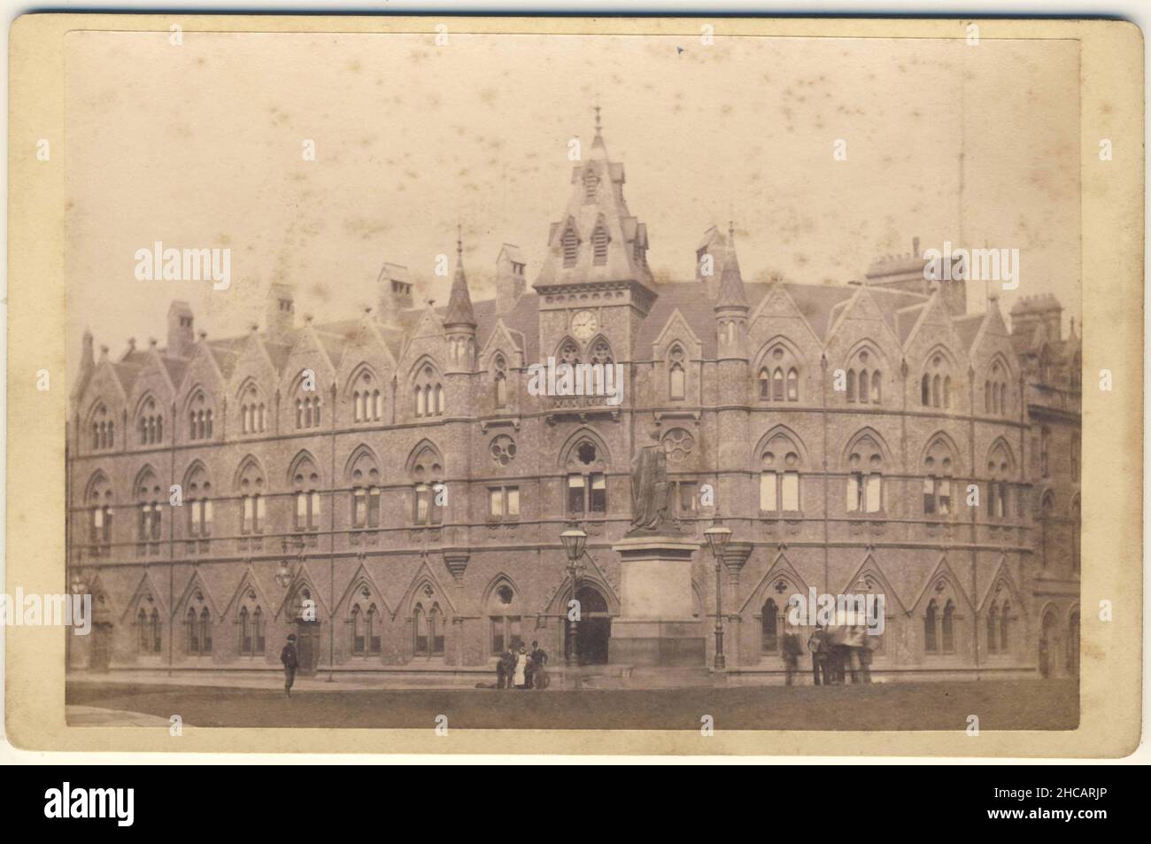 d'epoca, retrò, vecchia, fotografia, secolo, botanica, grafica, antico ...