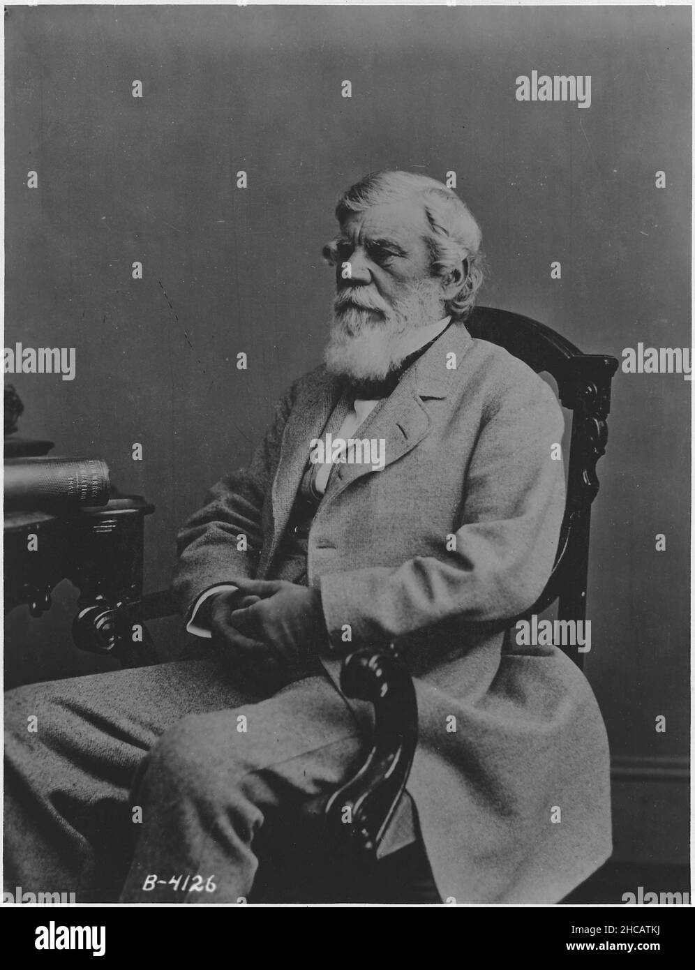 d'epoca, retrò, vecchia, fotografia, secolo, botanica, grafica, antico ...