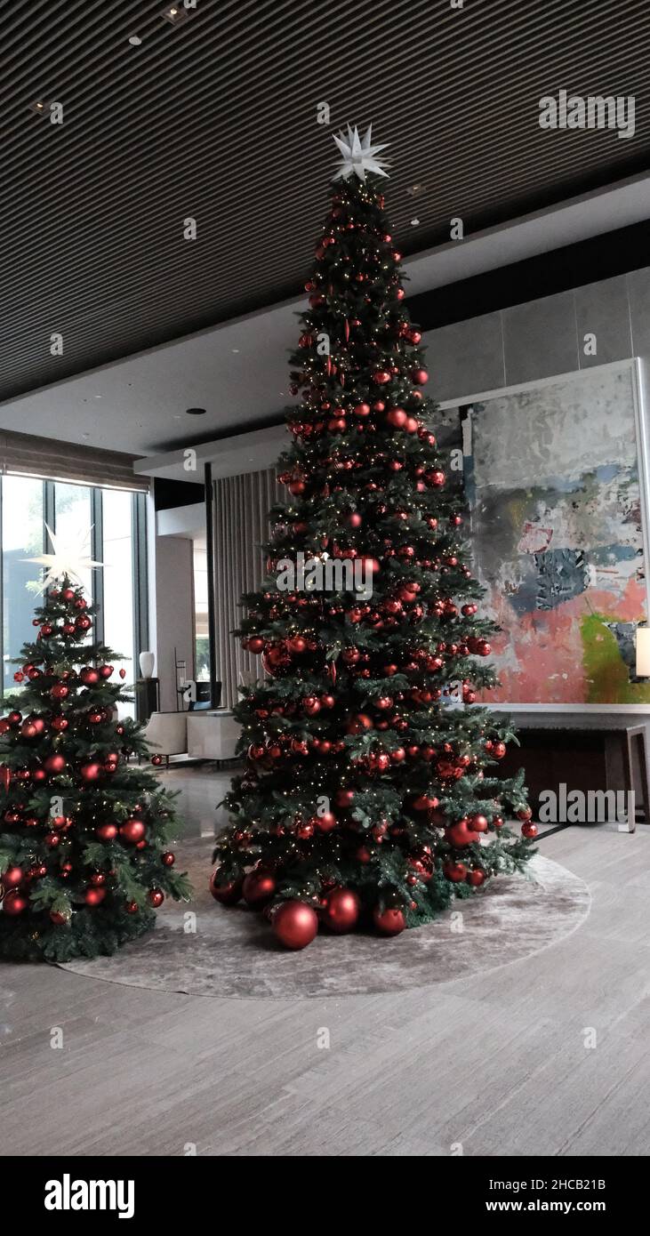 Albero di quattro stagioni immagini e fotografie stock ad alta ...