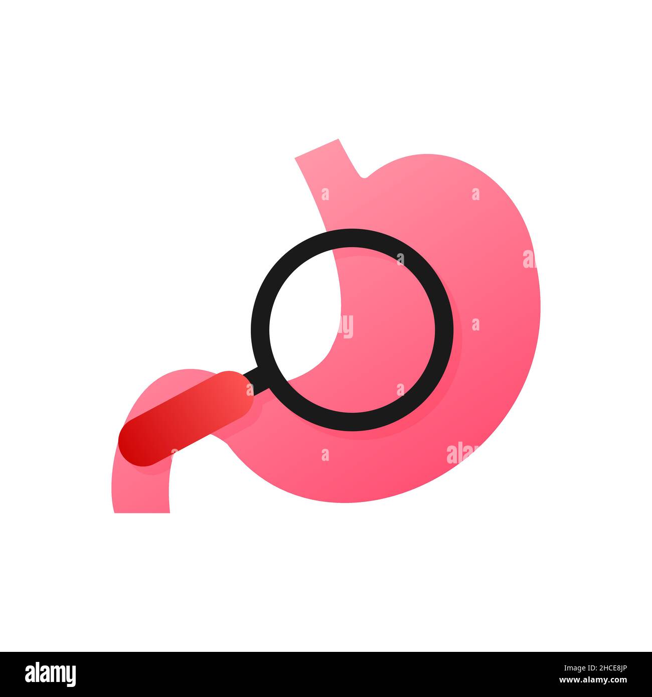 Esofago umano Immagini Vettoriali Stock - Alamy