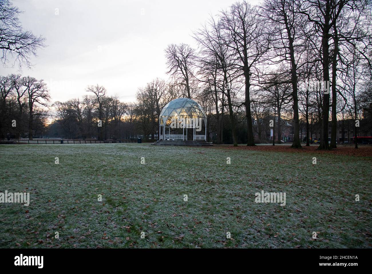 Haarlemmer hout immagini e fotografie stock ad alta risoluzione - Alamy