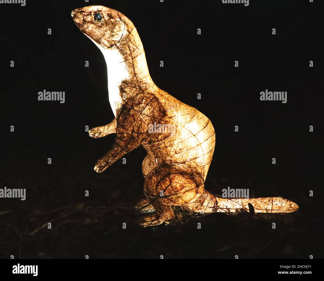 The lost garden of heligan immagini e fotografie stock ad alta ...