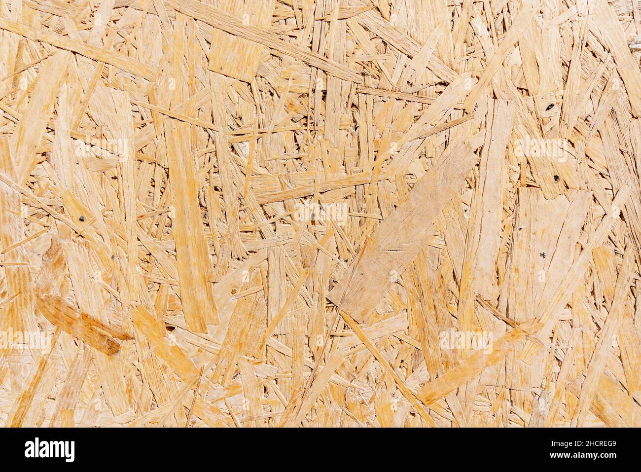 Campione di compensato immagini e fotografie stock ad alta risoluzione ...