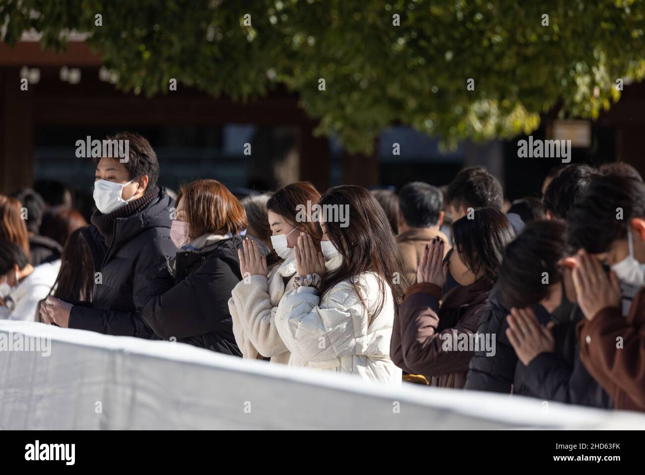 Main hall meiji jingu shrine immagini e fotografie stock ad alta ...
