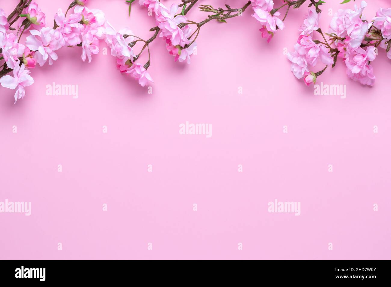 Sfondo fiori ciliegio immagini e fotografie stock ad alta risoluzione ...