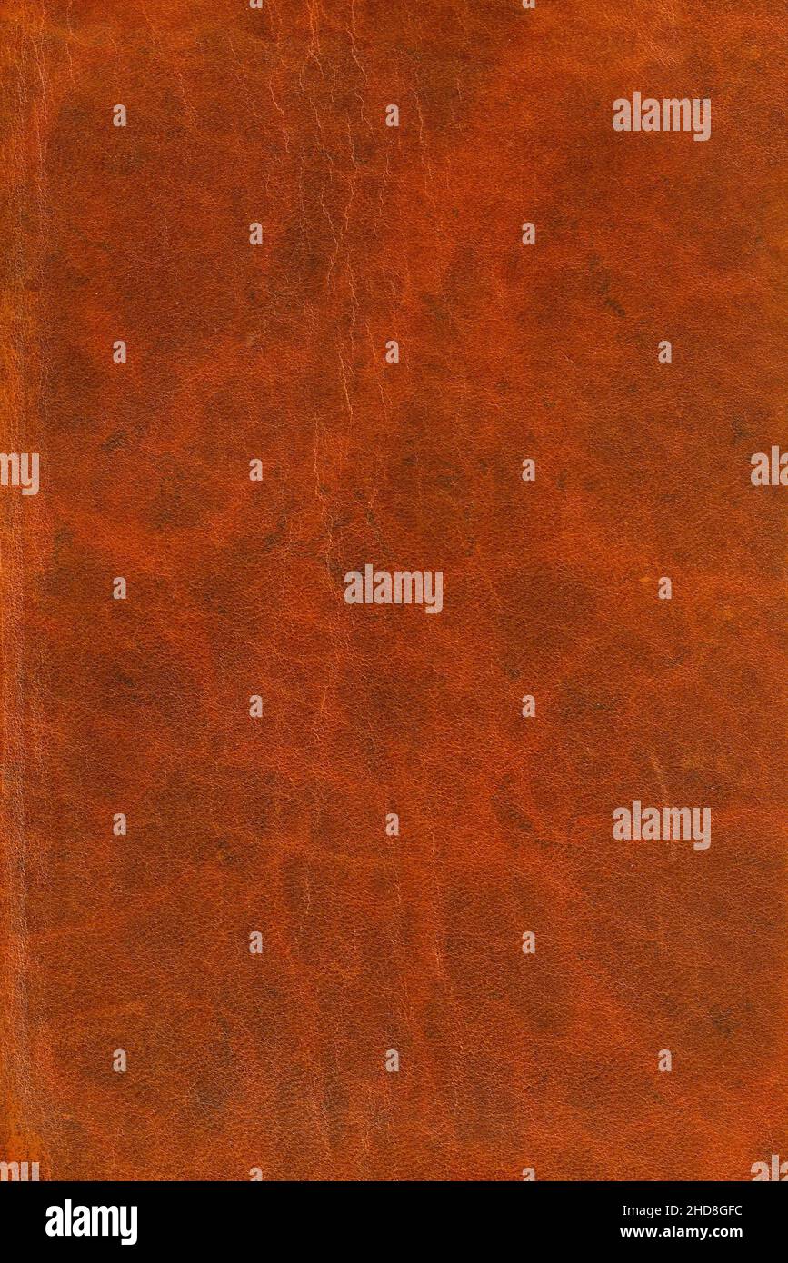 Leathery texture immagini e fotografie stock ad alta risoluzione - Alamy