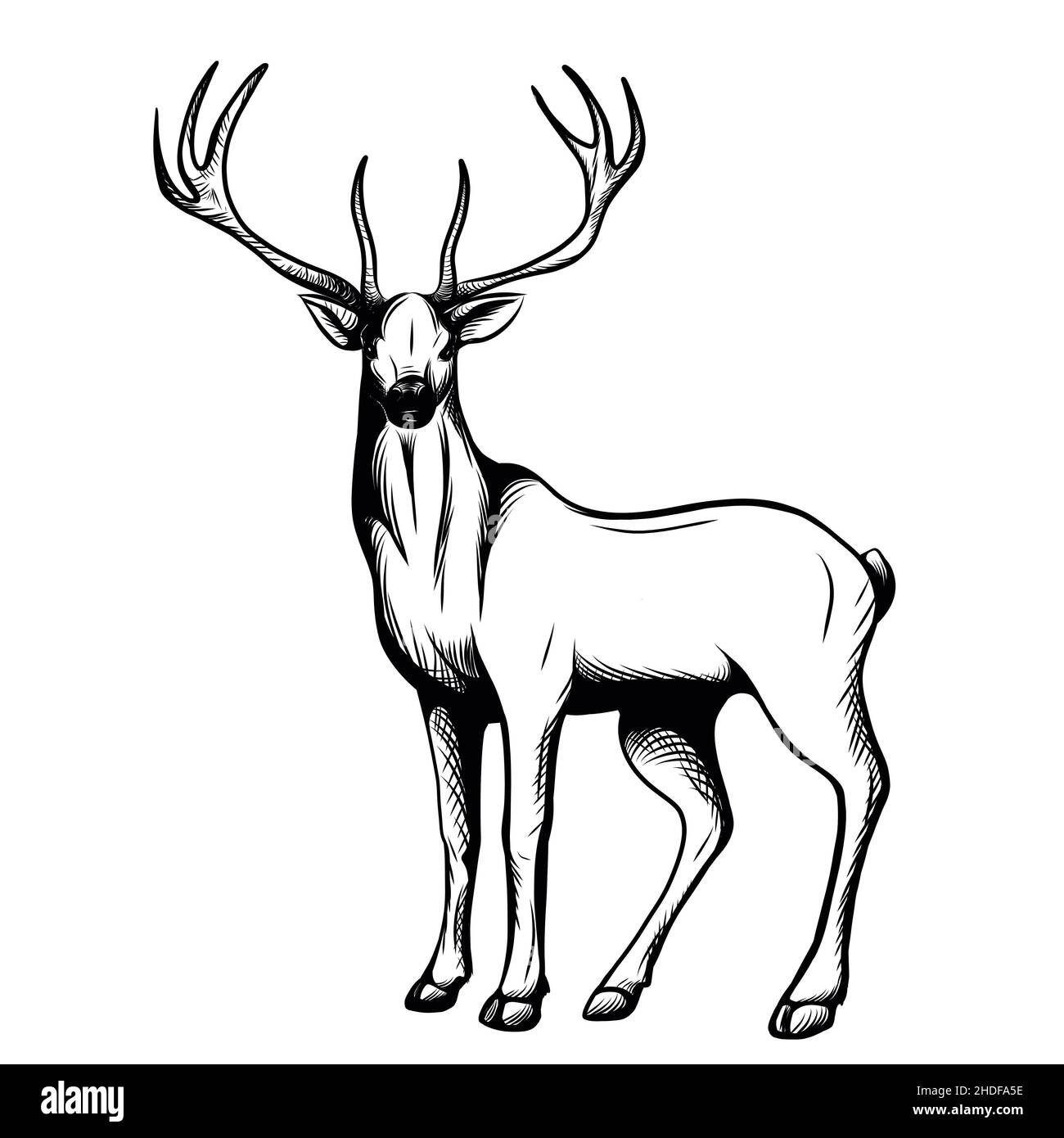 Disegni Di Cervi Maschi Facili OPSREY Grembiule Da Uomo Con Stampa Di