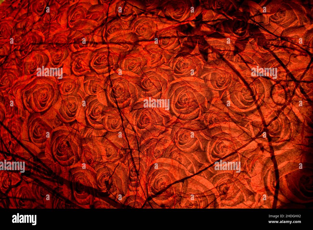 Roses pattern immagini e fotografie stock ad alta risoluzione - Alamy