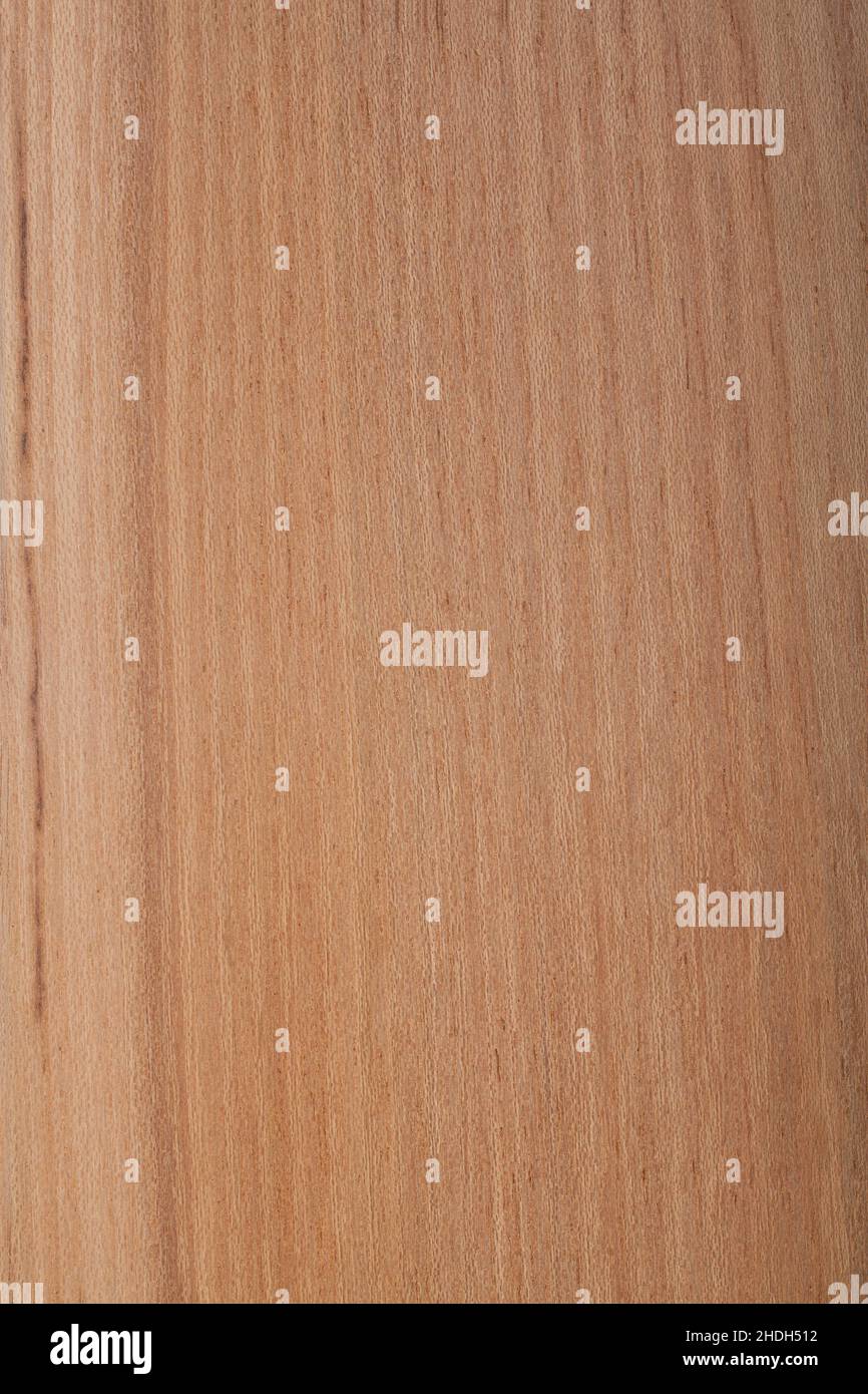 Telaio in legno di olmo immagini e fotografie stock ad alta risoluzione ...