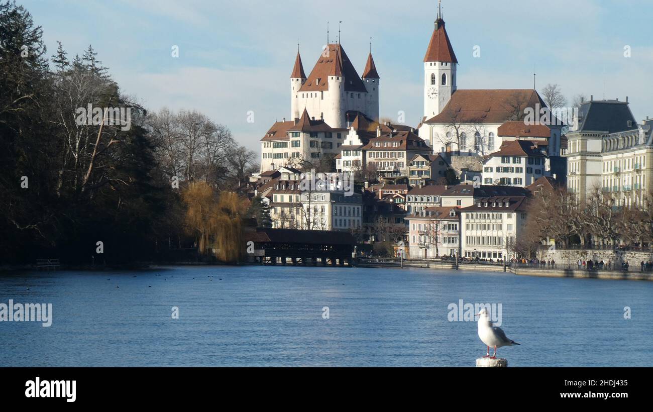 Lago thun immagini e fotografie stock ad alta risoluzione - Alamy