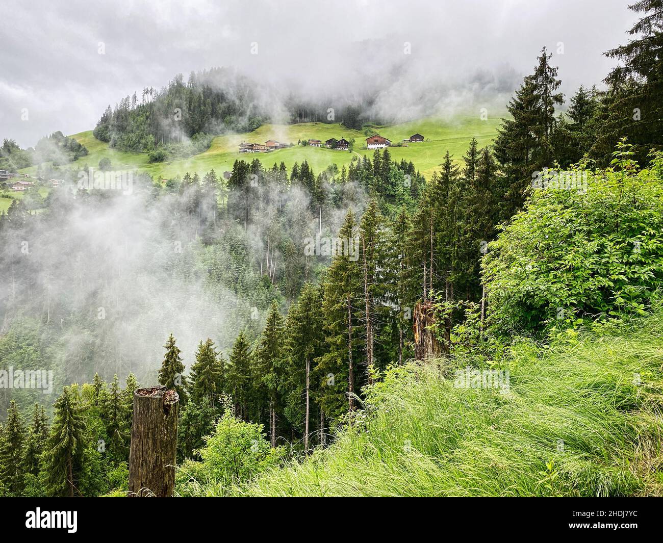 Nebbie nebbiose immagini e fotografie stock ad alta risoluzione - Alamy