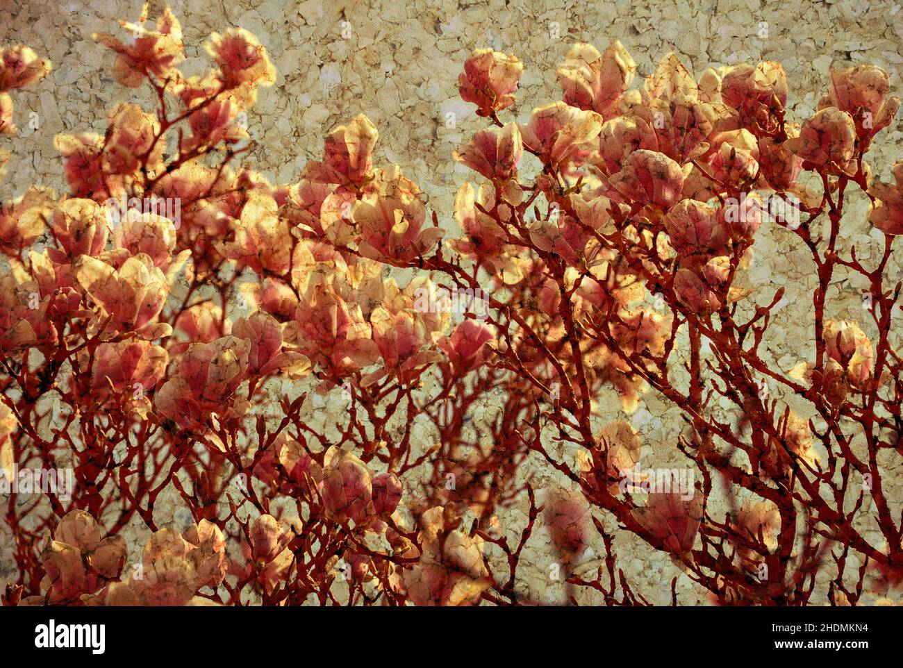 Sfondi caldi immagini e fotografie stock ad alta risoluzione - Alamy