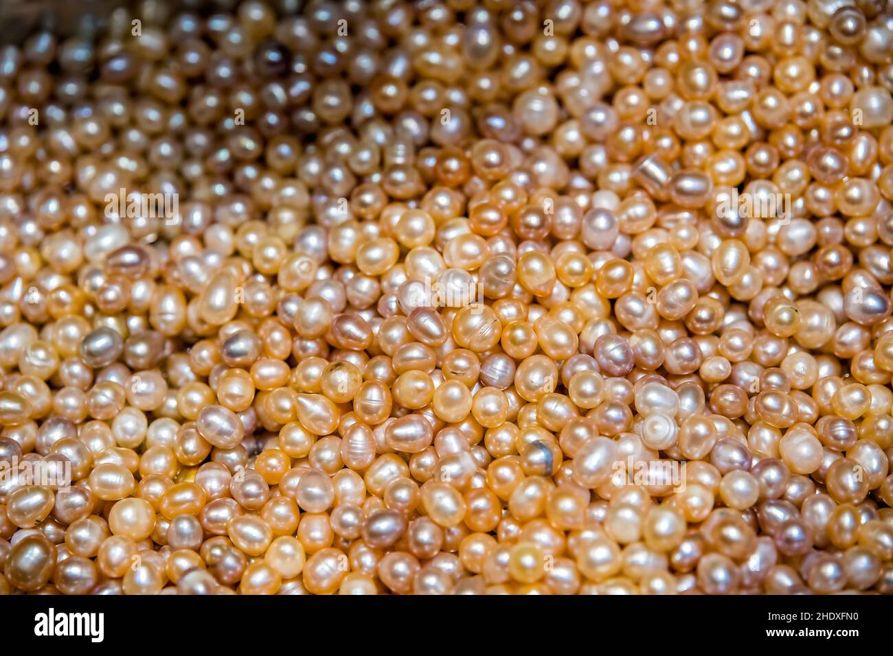 Mother of pearls immagini e fotografie stock ad alta risoluzione - Alamy