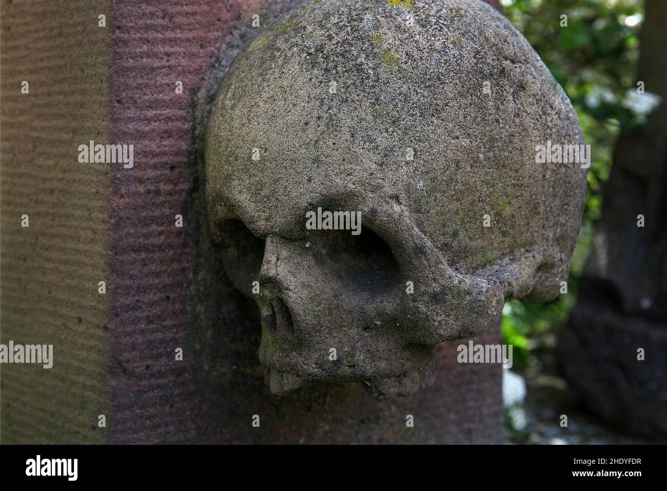 Teschi in pietra immagini e fotografie stock ad alta risoluzione - Alamy
