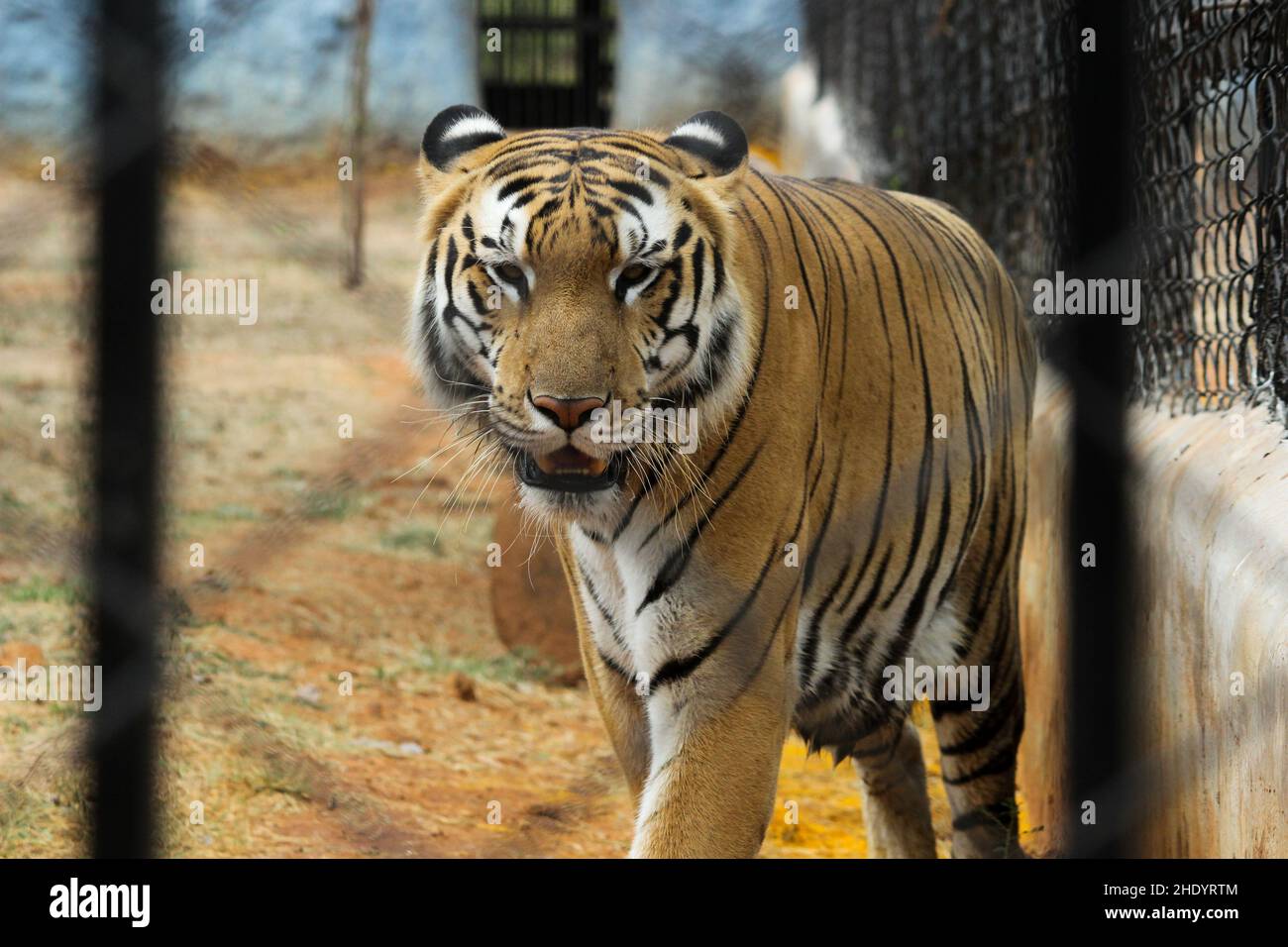 Turismo del bengala immagini e fotografie stock ad alta risoluzione - Alamy