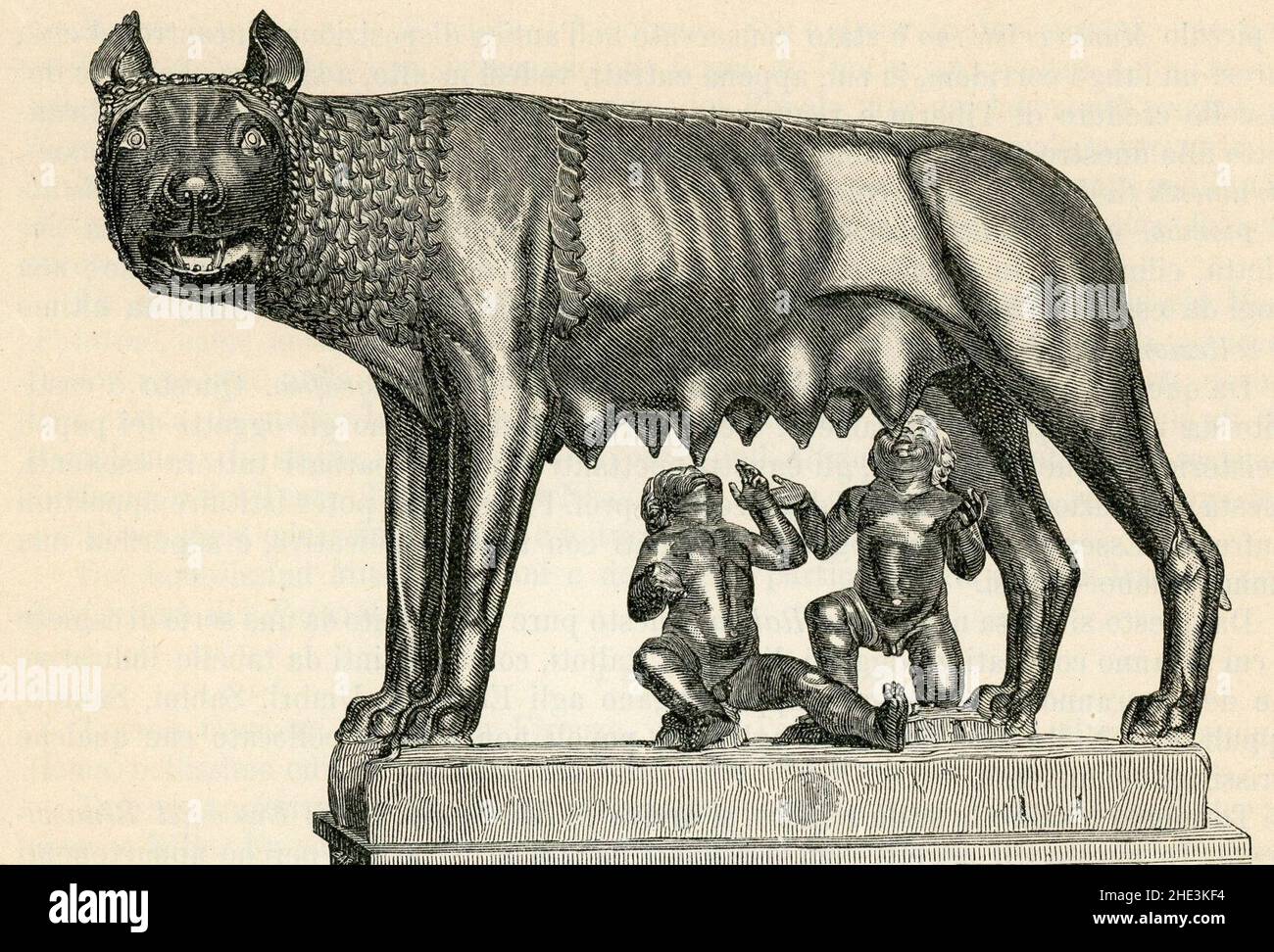 Lupa romolo remo immagini e fotografie stock ad alta risoluzione - Alamy