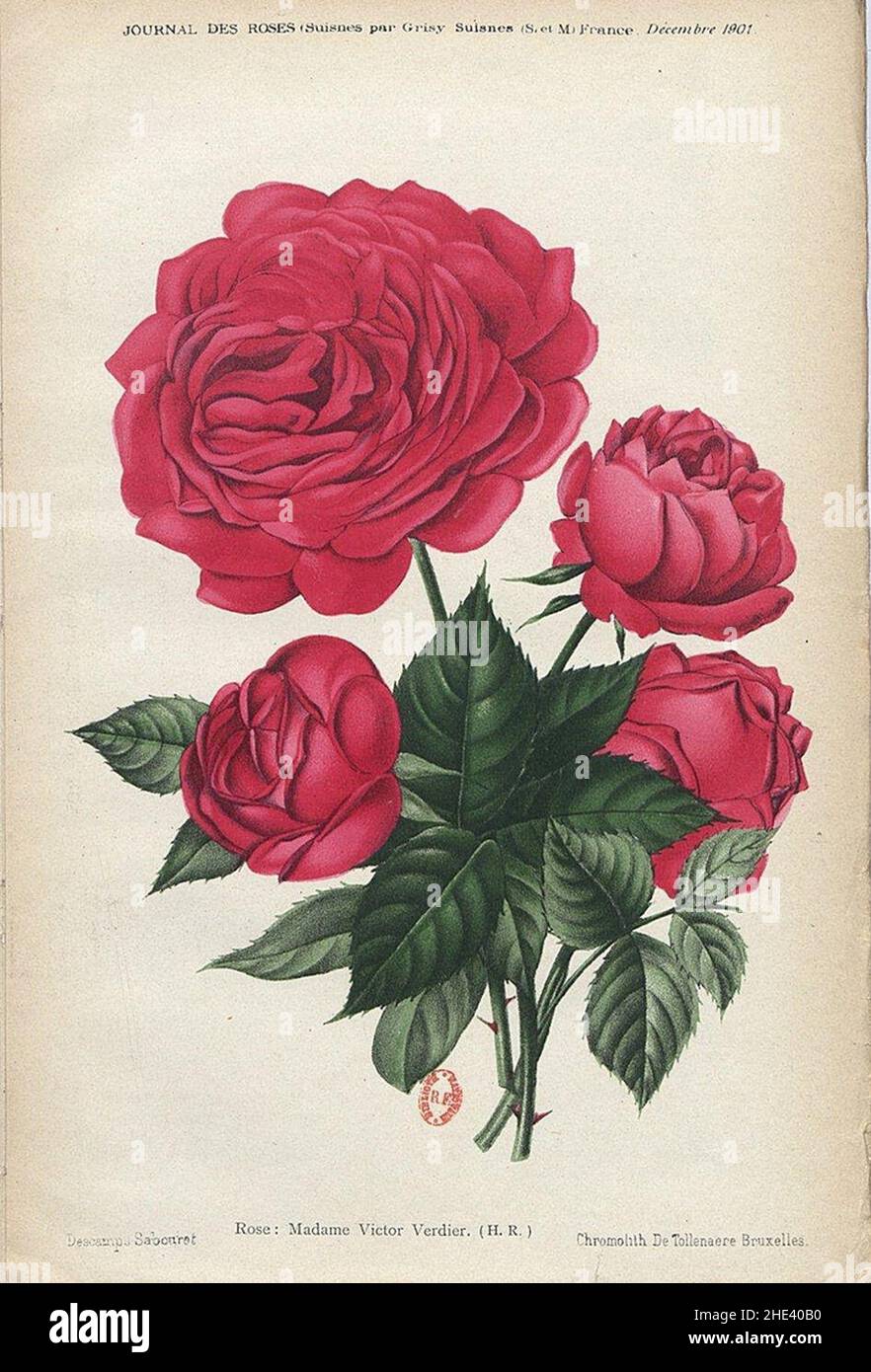 Victor verdier immagini e fotografie stock ad alta risoluzione - Alamy