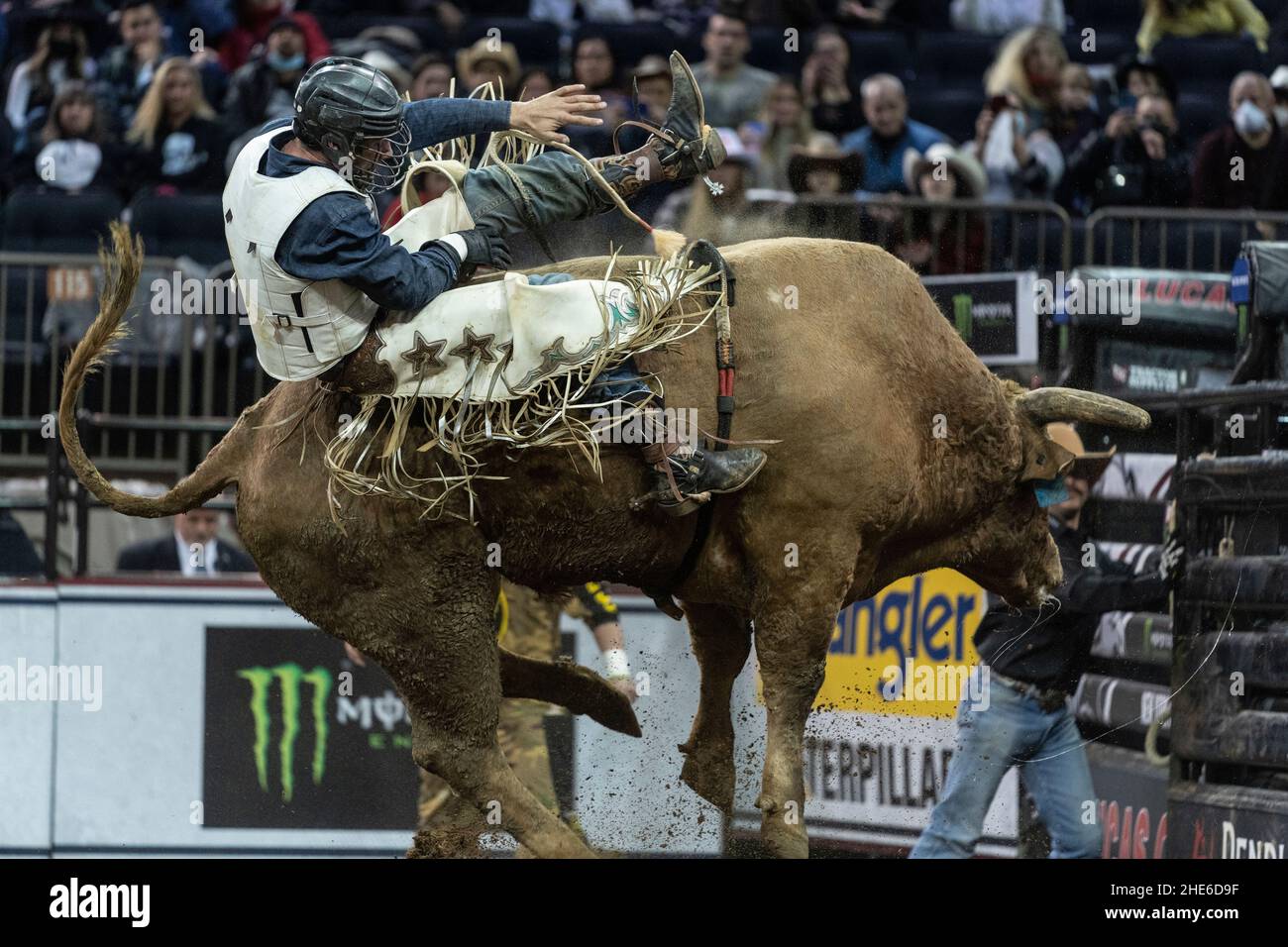 Eli vastbinder immagini e fotografie stock ad alta risoluzione - Alamy