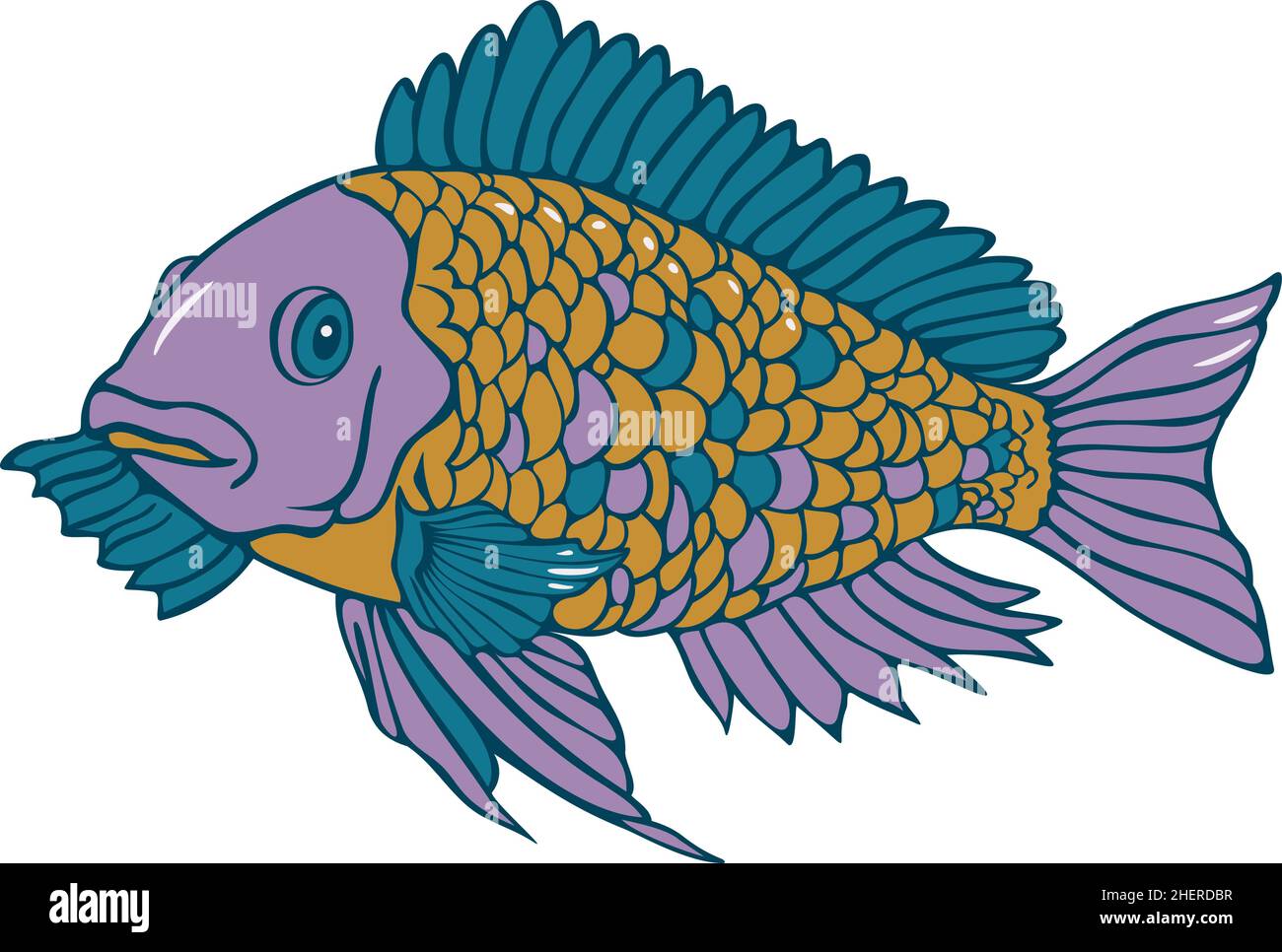 Disegno di un pesce colorato Immagini Vettoriali Stock - Alamy