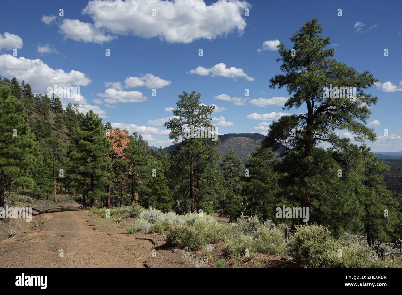 Vulcano a cono immagini e fotografie stock ad alta risoluzione - Alamy