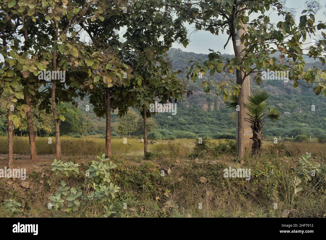 Andhra pradesh river immagini e fotografie stock ad alta risoluzione ...