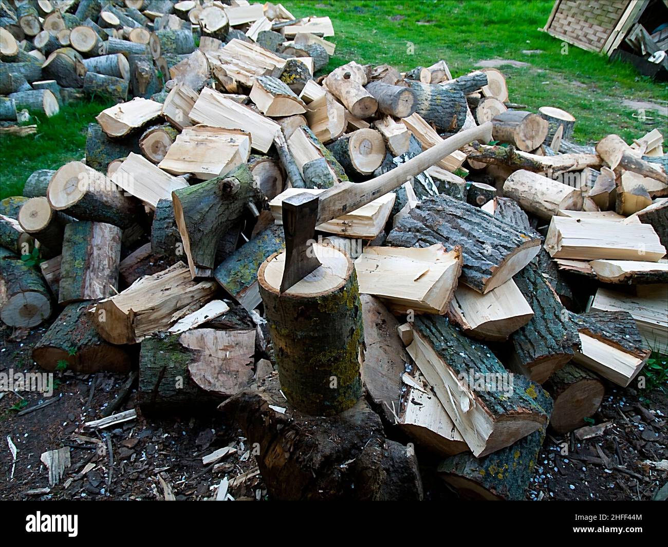 Ascia naturale immagini e fotografie stock ad alta risoluzione - Alamy