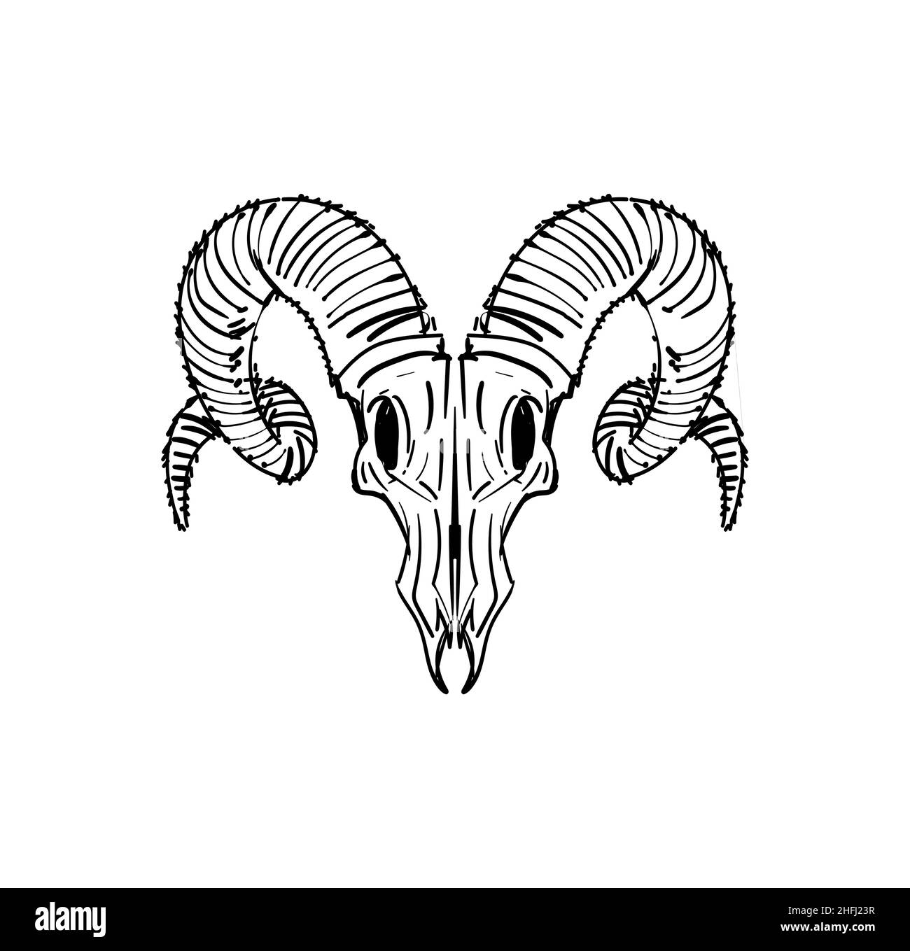 Teschio capra disegno vintage immagini e fotografie stock ad alta ...