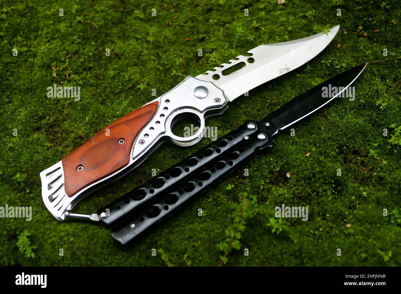 Farfalla militare immagini e fotografie stock ad alta risoluzione - Alamy