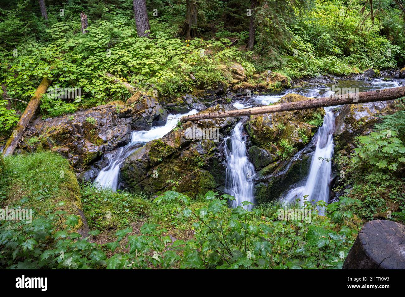 Le Cascate del Sol Duc nella Valle del Sol Duc sono chiamate le cascate ...