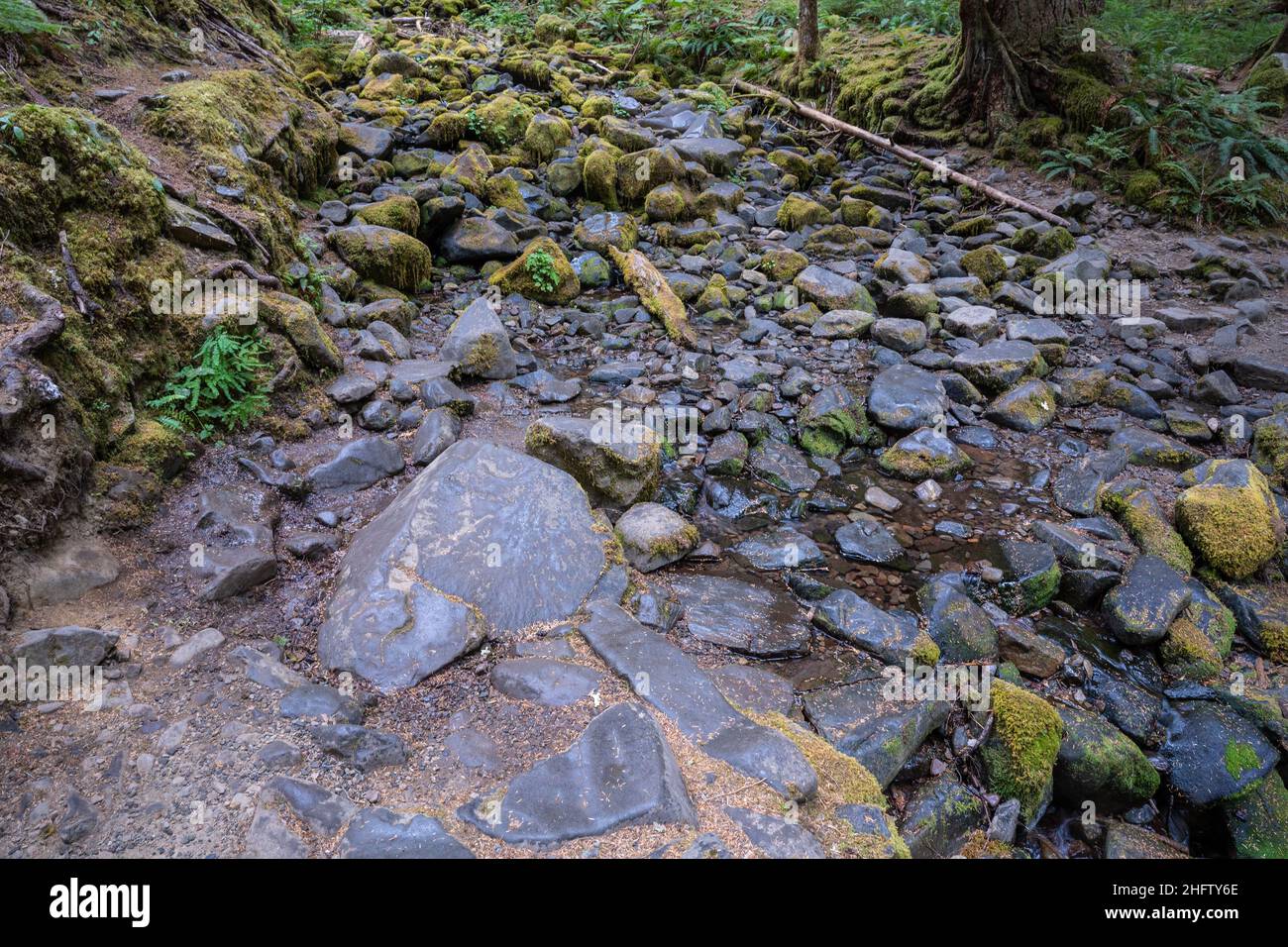 Le Cascate del Sol Duc nella Valle del Sol Duc sono chiamate le cascate ...