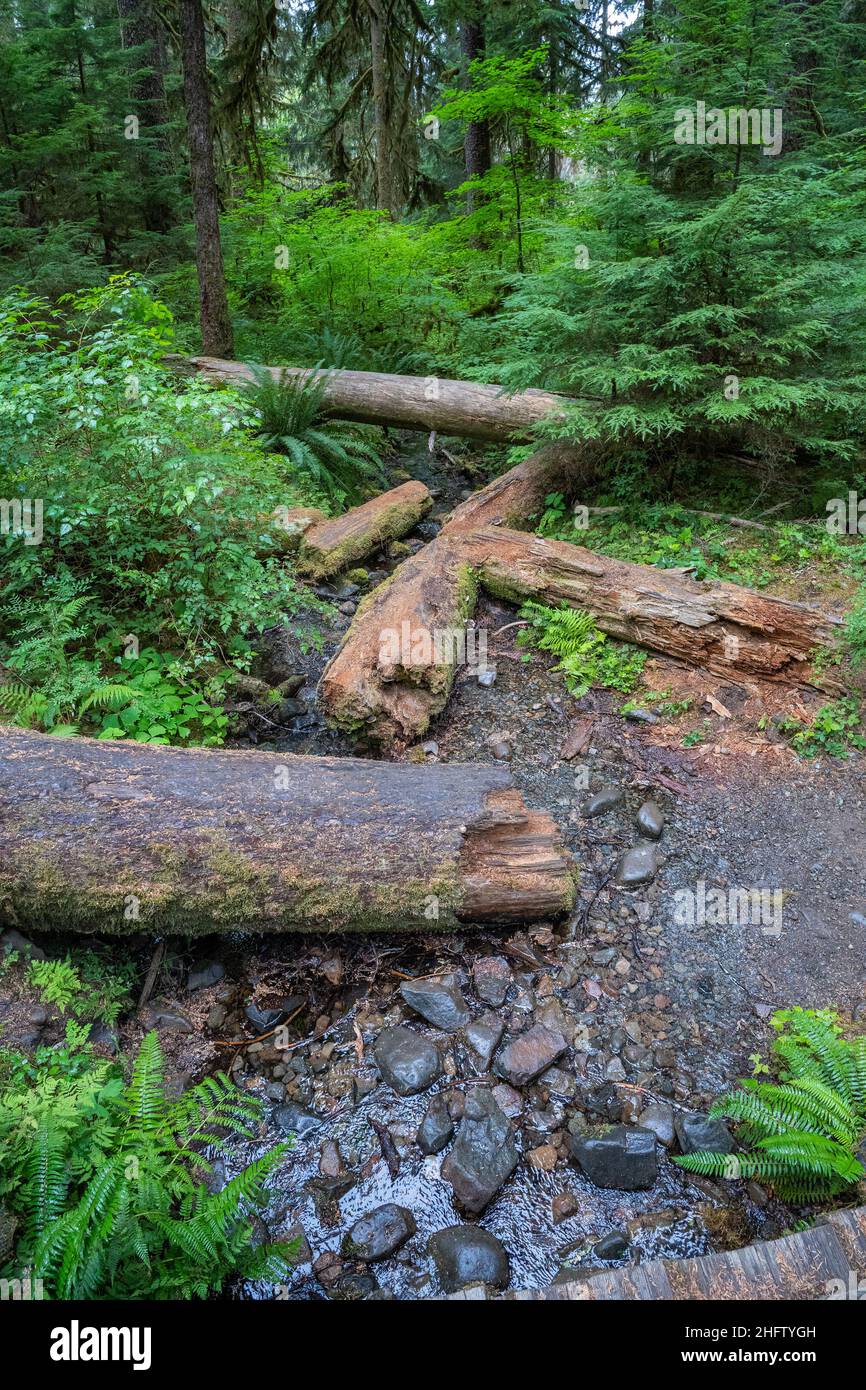 Le Cascate del Sol Duc nella Valle del Sol Duc sono chiamate le cascate ...
